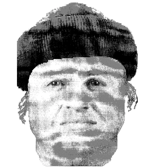 DNA to the rescue! 72-year-old predator who abducted and assaulted teen ...